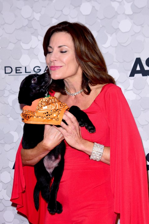 Luann de Lesseps: Pics of the ‘RHONY’ Star – Hollywood Life