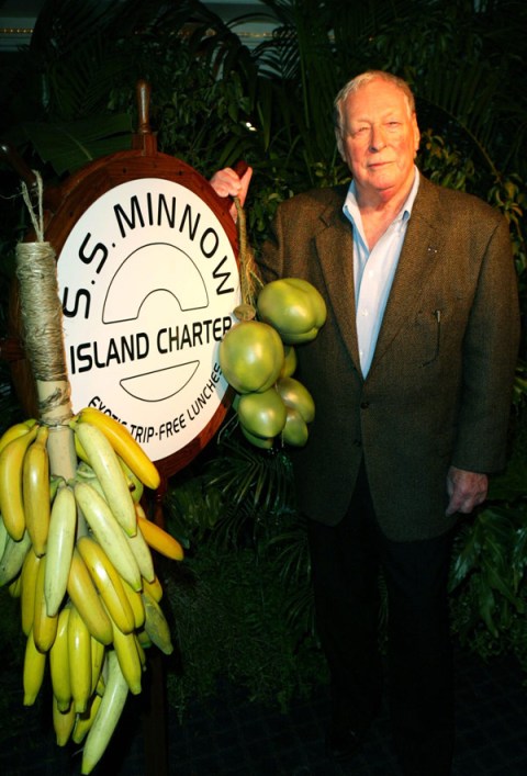 [PICS] Russel Johnson — Photos Of The Fallen ‘Gilligan’s Island’ Star ...