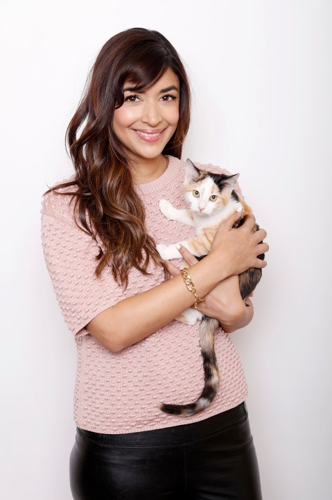 Celebrity Cat Ladies: Taylor Swift & More Show Off Their Cats ...