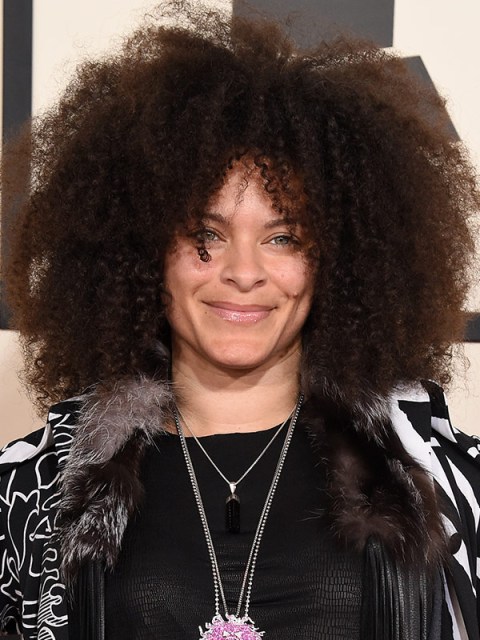 [PICS] 2015 Grammy Awards Style — Best Hair & Makeup On The Grammy’s ...