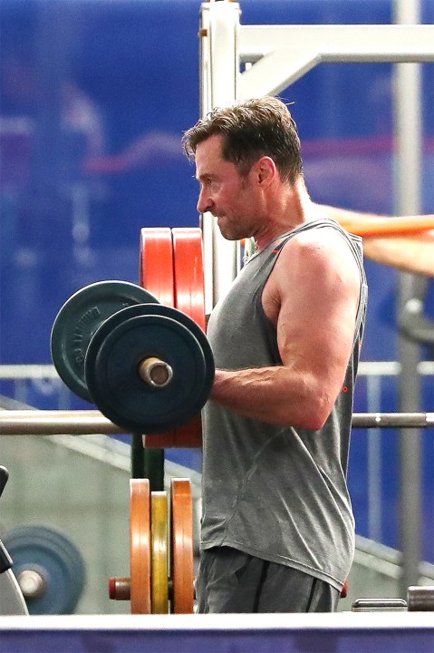 Celebs Working Out: Pics of Stars Exercising – Hollywood Life