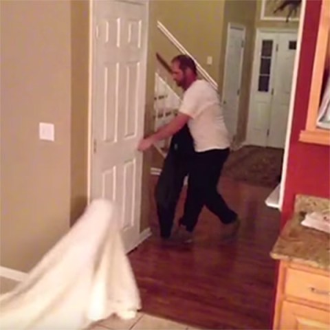 [PICS] Best Vines: Photos Of The Greatest 6-Second Vids From Service ...