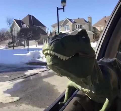 [PICS] Best Vines: Photos Of The Greatest 6-Second Vids From Service ...