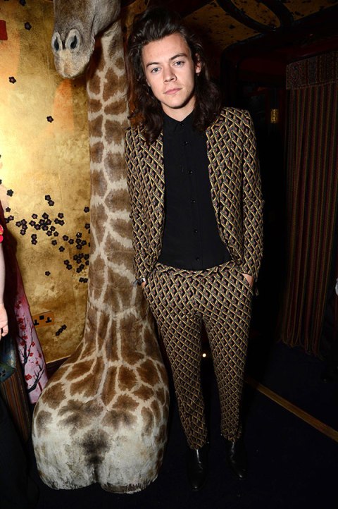 Harry Styles’ Crazy Suits — See Pics Of His Wild Outfits – Hollywood Life
