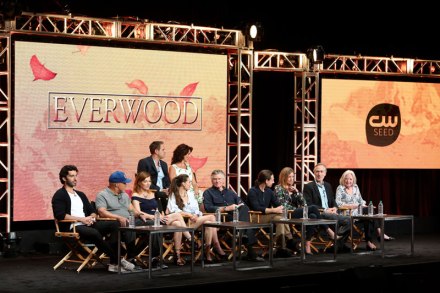 ‘Everwood’ Reunion At TCA — Pics Of Cast Together 15 Years Later ...