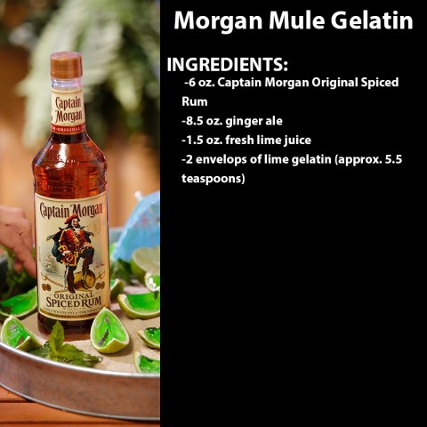 Rum Drink Recipes & Cocktail Mixes — PICS – Hollywood Life
