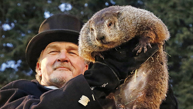 What Is Groundhog Day? Find Out The Date & Facts About The Holiday ...