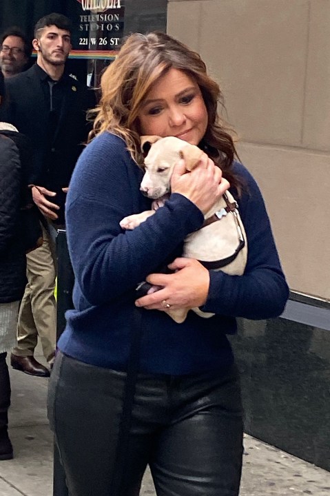 Celebrities Puppies Pics: Photos For The Year Of The Dog 2018 ...