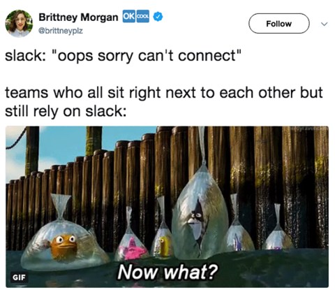 Slack Crash Memes: Photos Of Users’ Frustration That Slack Is Down ...
