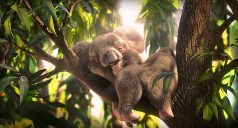 ‘Earth’ Music Video — Lil Dicky, Justin Bieber, Ariana Grande & More ...