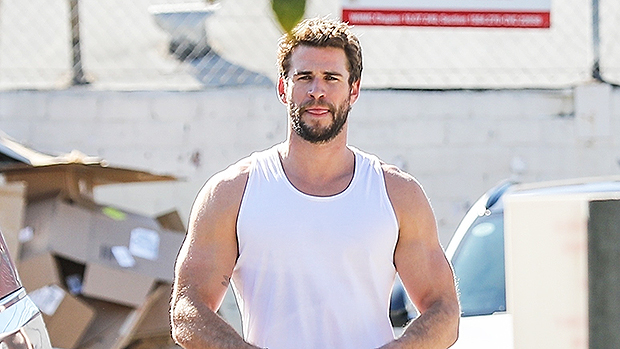 Liam Hemsworth Shows Off Buff Body After Miley Cyrus Divorce: Pic ...