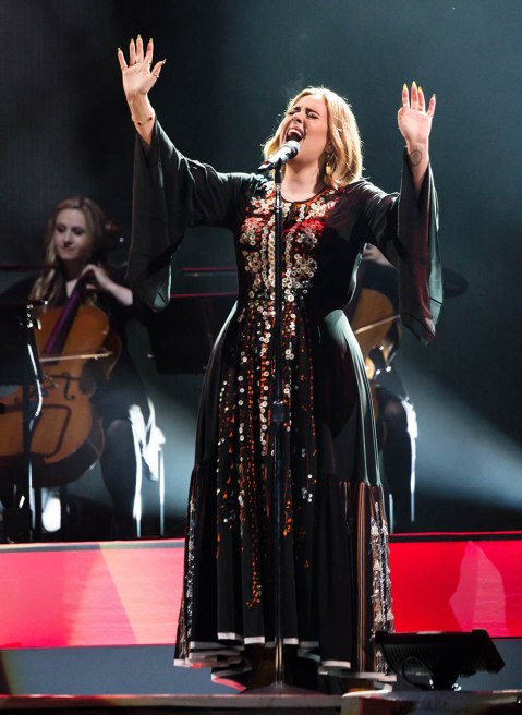 Adele Then & Now: See Photos of Her Transformation – Hollywood Life