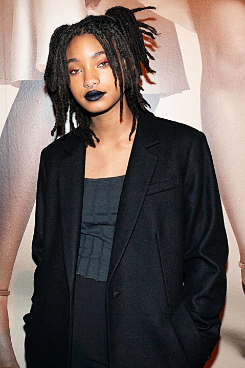 Willow Smith’s Hairstyles: See Photos of Her Hair Evolution – Hollywood ...
