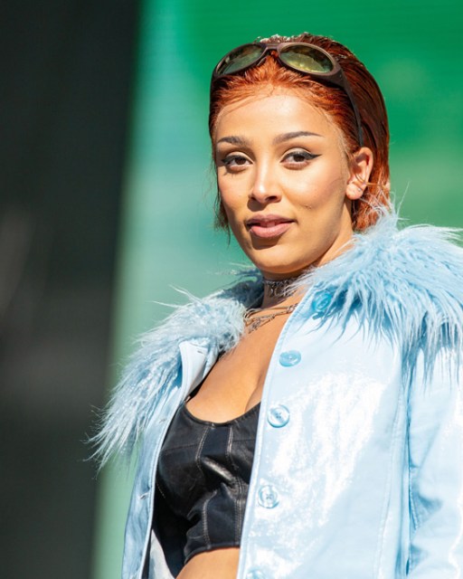 Doja Cat Debuts Purple Hair Transformation: Before & After Photos ...