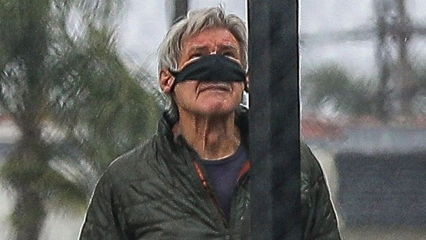 Harrison Ford Wears Face Mask Over Nose Only While Drinking Coffee: Pic ...