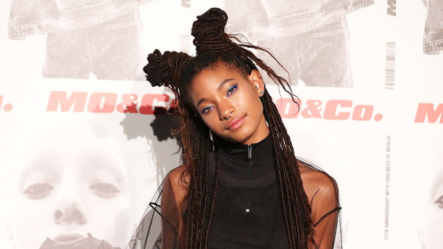 Willow Smith Shows Off Flexibility With Yoga Pose — Pic – Hollywood Life
