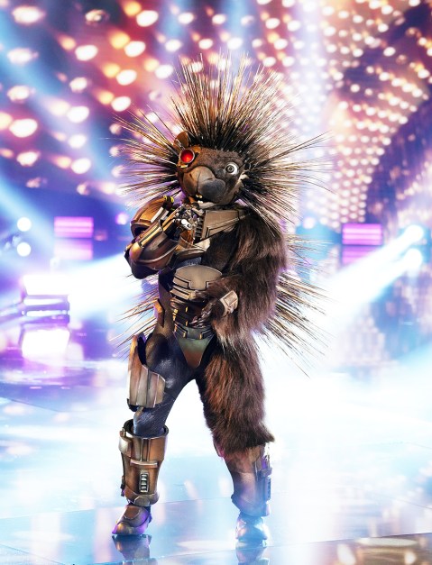 ‘The Masked Singer’ Season 5 — Photos – Hollywood Life