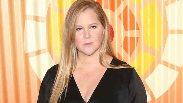 Amy Schumer’s Baby Plans After IVF: May Use Surrogate – Hollywood Life