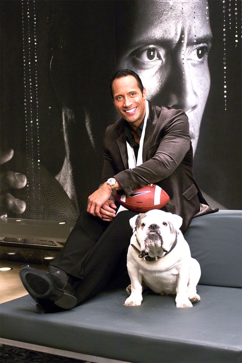 Dwayne Johnson Then & Now: Photos of ‘The Rock’ Through the Years ...