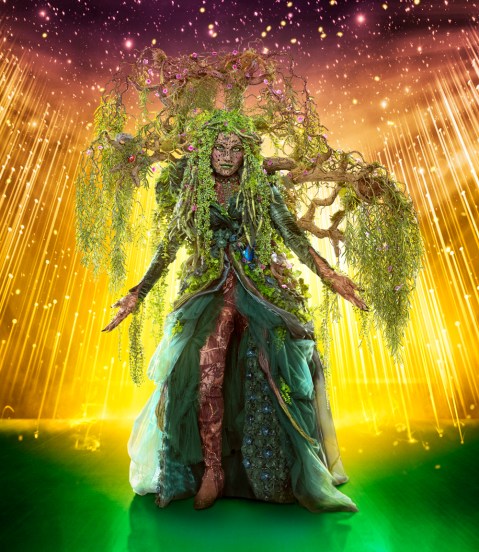 ‘The Masked Singer’ Season 6 Costumes: See Photos Of The Wild Looks ...