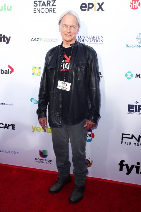 Mark Hamon: See Photos of the ‘NCIS’ Actor – Hollywood Life