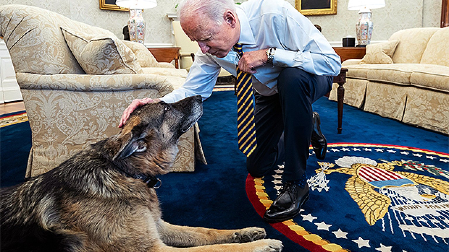 President Joe Biden Welcomes New Puppy: Meet Commander – Hollywood Life