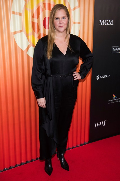 Amy Schumer Then & Now: Photos of Her Before & After Weight Loss ...