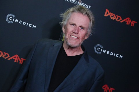 Gary Busey Young: Photos From Then To Now – Hollywood Life