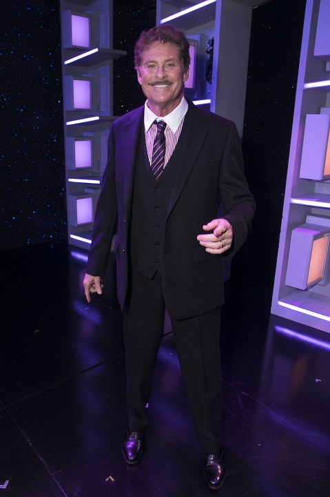 David Hasselhoff Then & Now: From His Young Years & On – Hollywood Life