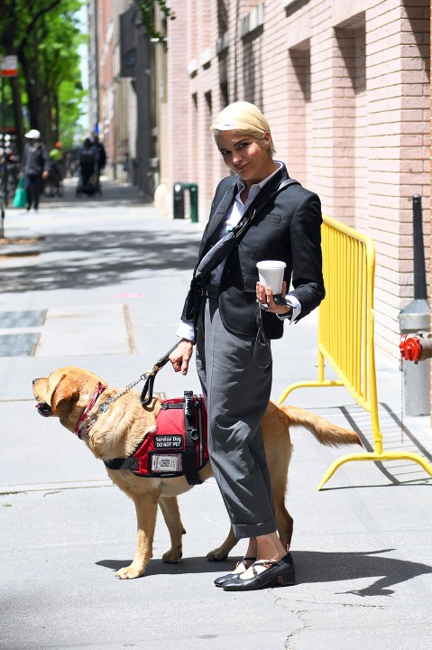 Celebrities Walking Their Dogs: Photos – Hollywood Life