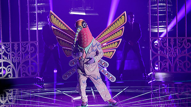 Chris Kirkpatrick Is Hummingbird On ‘The Masked Singer’: Interview ...