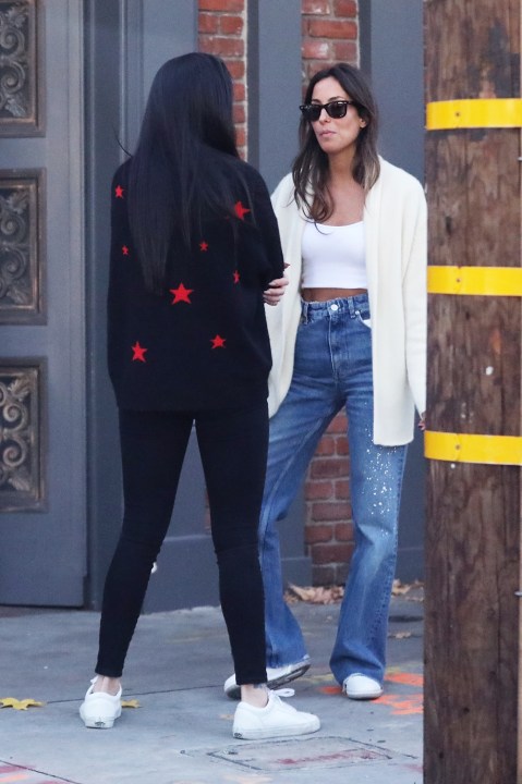 Ines De Ramon: Photos of Brad Pitt’s New Girlfriend – Hollywood Life