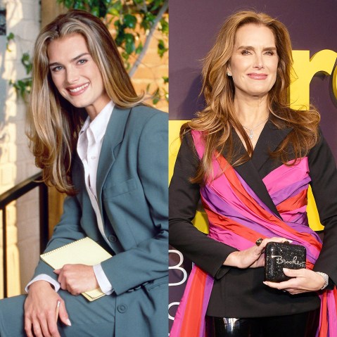 ‘Suddenly Susan’ Cast Then & Now: Photos Of Brooke Shields & More ...