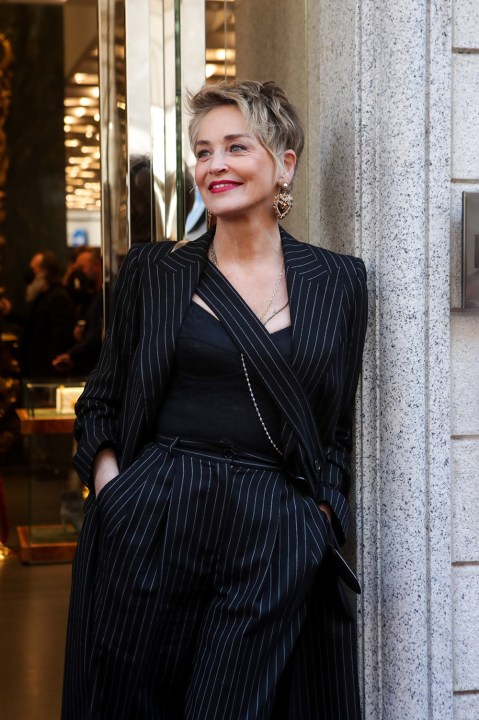 Sharon Stone Then & Now: Photos From Young Actress To Icon – Hollywood Life