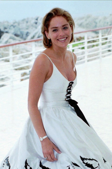 Sharon Stone Then & Now: Photos From Young Actress To Icon – Hollywood Life