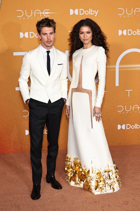‘Dune: Part Two’ Premiere: Photos of Zendaya and More of the Cast ...