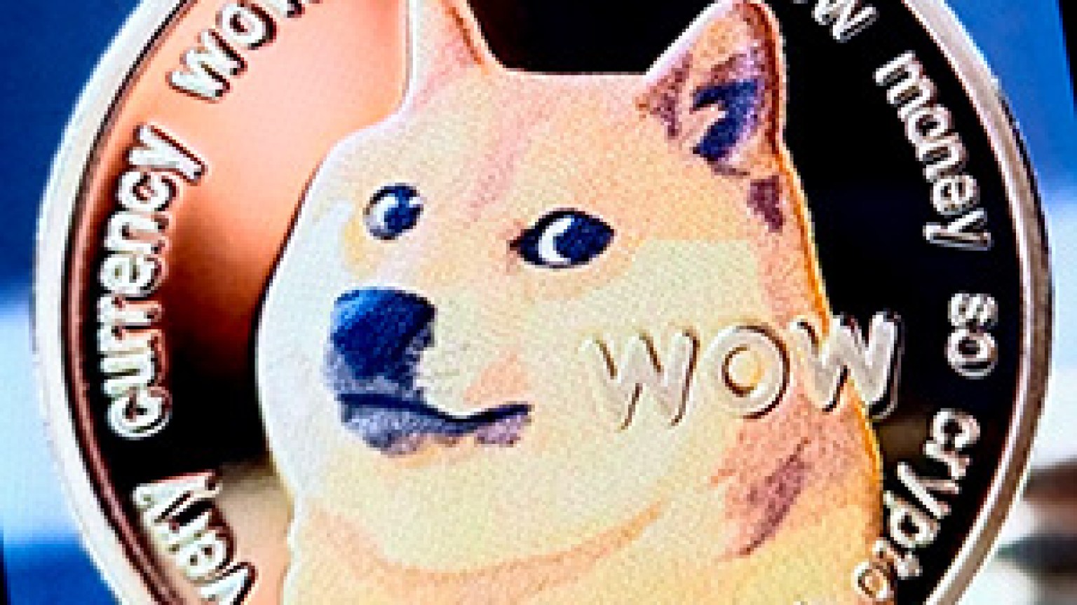 ‘Doge’ Meme Dog Dies: Kabosu Passes Away at 18 – Hollywood Life
