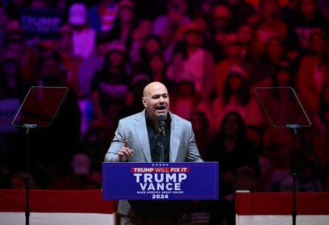 Celebrities Who Support Donald Trump: Pics of the Stars – Hollywood Life