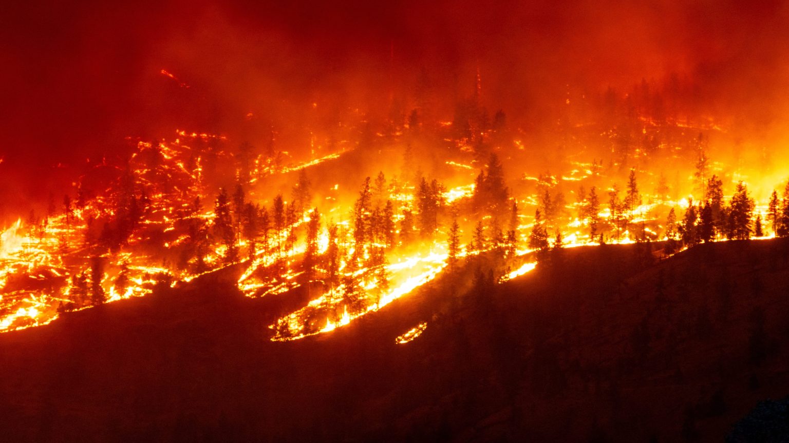Oklahoma Fires: Updates on Damage, Power Outages & More – Hollywood Life