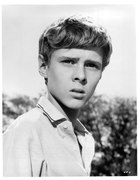 Jay North Then & Now: Photos of the ‘Dennis the Menace’ Star ...