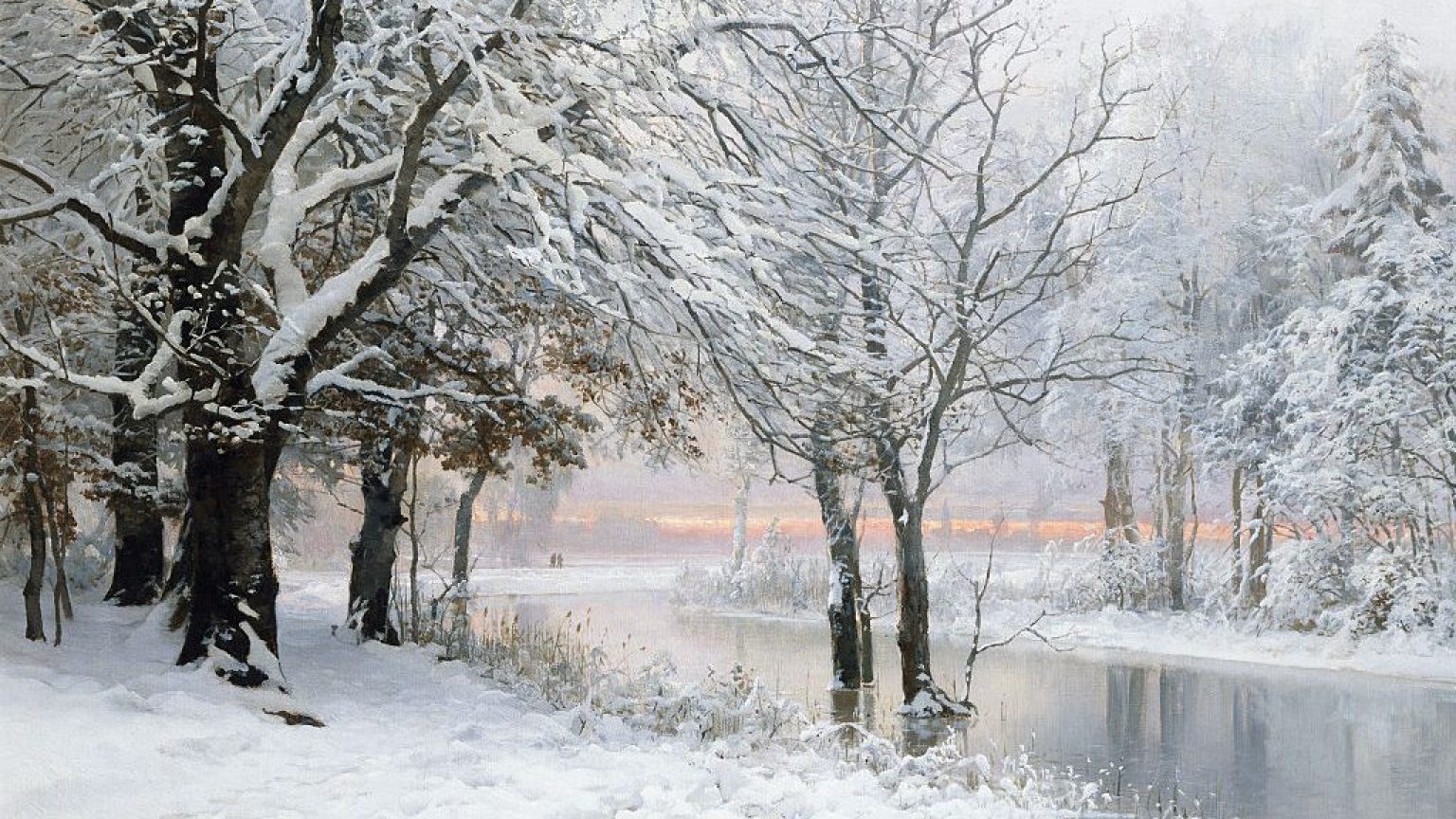 Can Trees Explode in Extreme Cold? About Exploding Trees This Winter ...