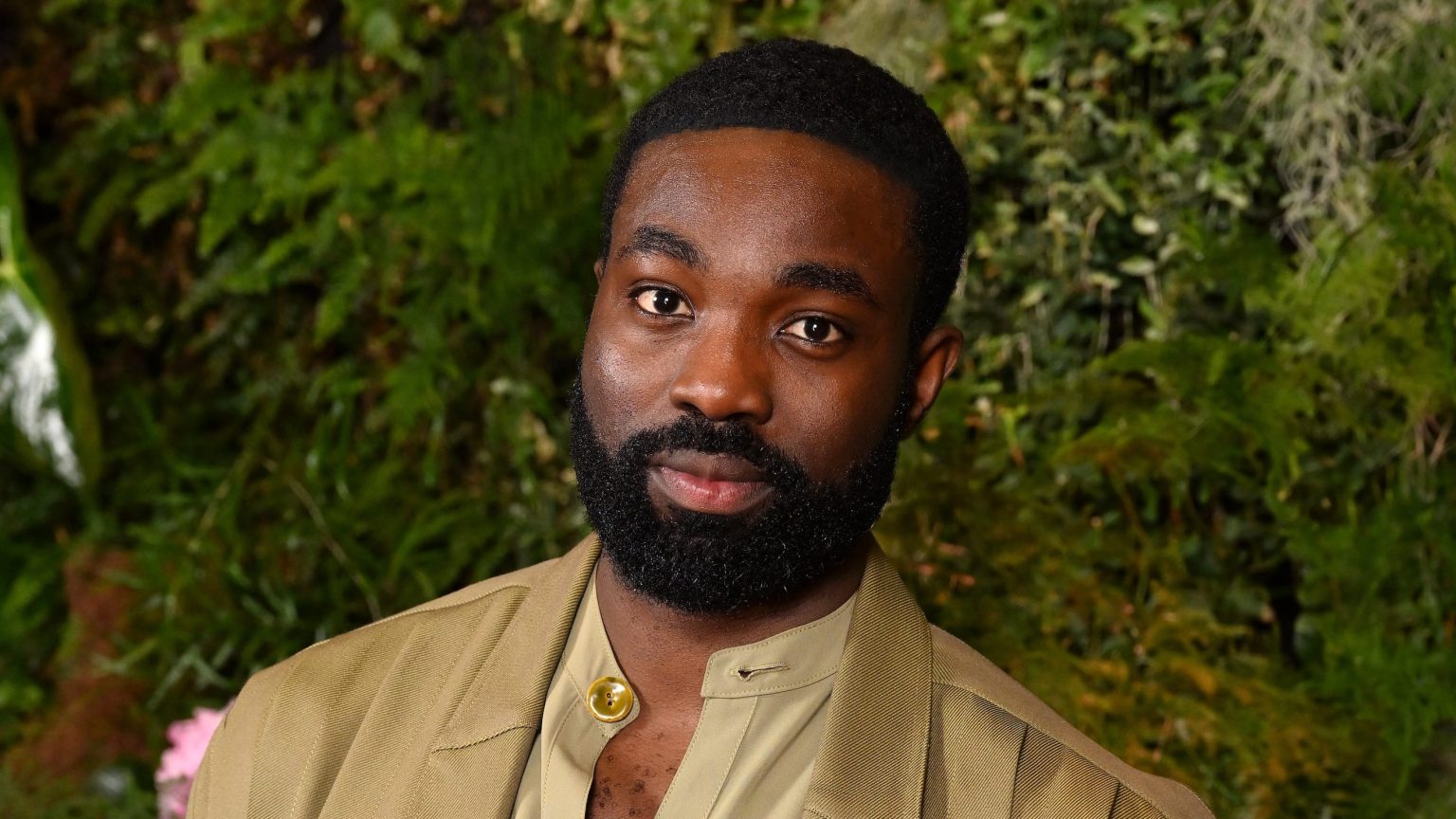 Who Plays Snape in the New ‘Harry Potter’ Series? Meet Paapa Essiedu ...